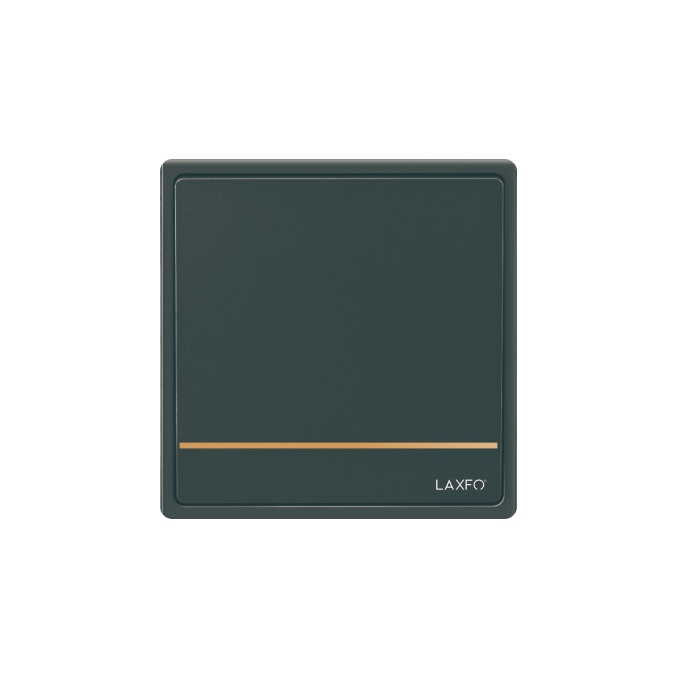 Bold and Premium Lexus Black Series