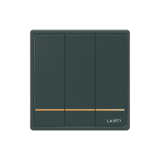 Bold and Premium Lexus Black Series